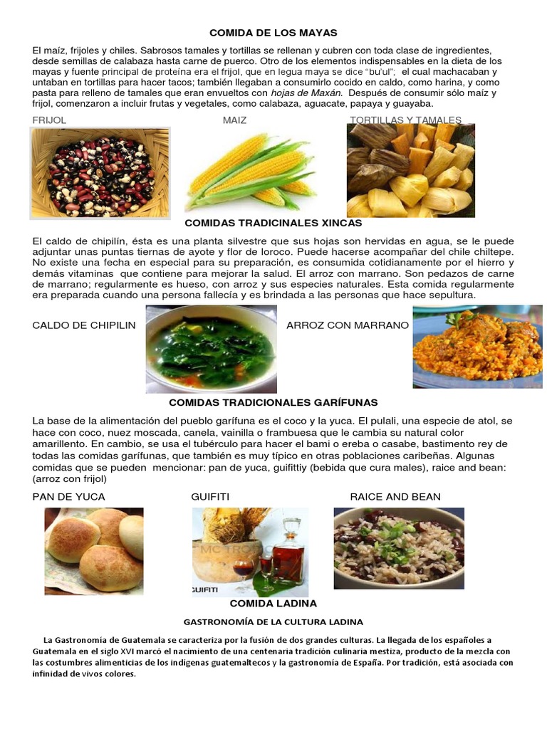 Comida de Los Mayas | PDF | Cocina latinoamericana | Cocina
