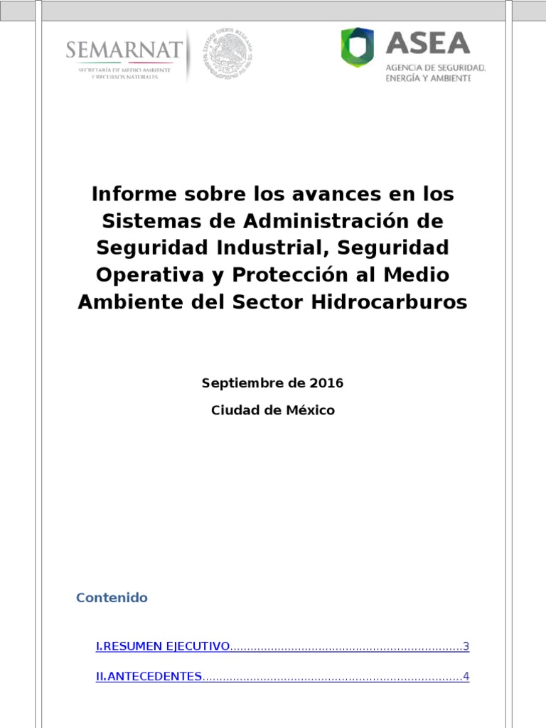 Informe SASISOPA 1.odt | Descargar gratis PDF | Seguridad | Evaluación del ciclo de vida