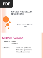 Anatomi dan Fungsi Skrotum Pria | PDF | Filsafat