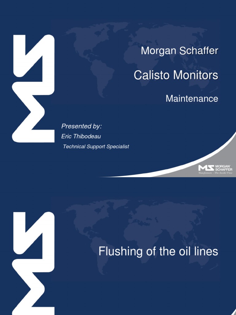 Morgan Schaffer - Calisto Monitors Maintenance | PDF | Valve | Leak