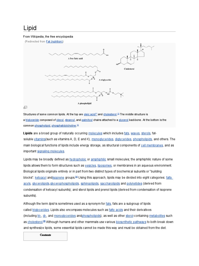 Lipid: From Wikipedia, The Free Encyclopedia | Download Free PDF | Fat ...
