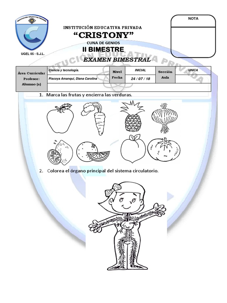 Examen de Ciencia y Tecnologia | PDF