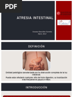 Atresia Intestinal | PDF | Intestino grueso | Infantes