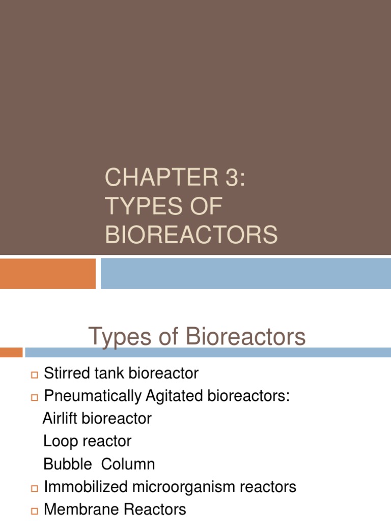 Bio Reactor Types | PDF | Chemical Reactor | Nature