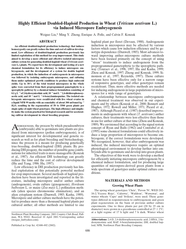 Kelompok 4 Double Haploid PDF | PDF | Plant Breeding | Wheat