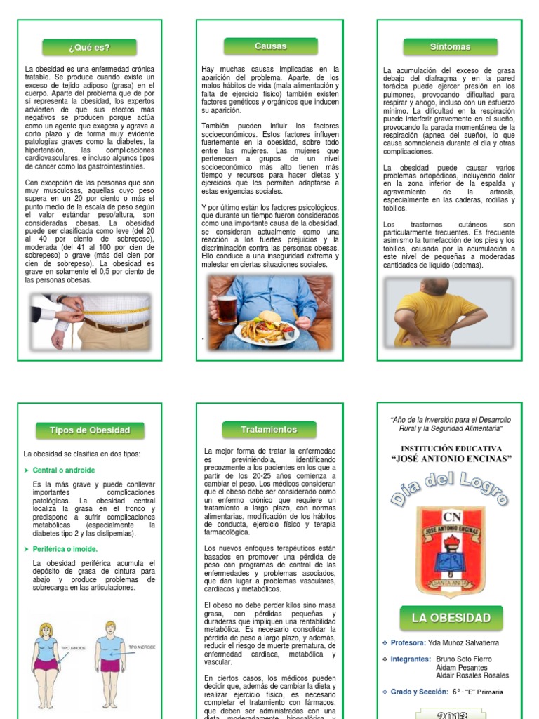 Triptico La Obesidad | PDF | Tejido adiposo | Obesidad