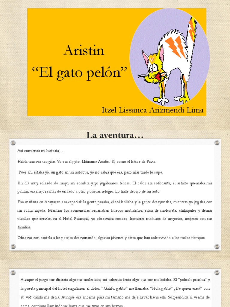 Cuento El Gato Pelon | PDF | Gatos | Ocio