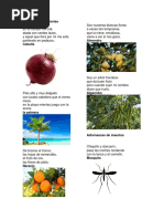 Definición de Hileras y Filas | PDF | Ciencias sociales | Historia