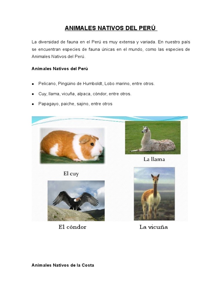 Animales Nativos Del Perú | PDF | Conejillo de indias | Perú