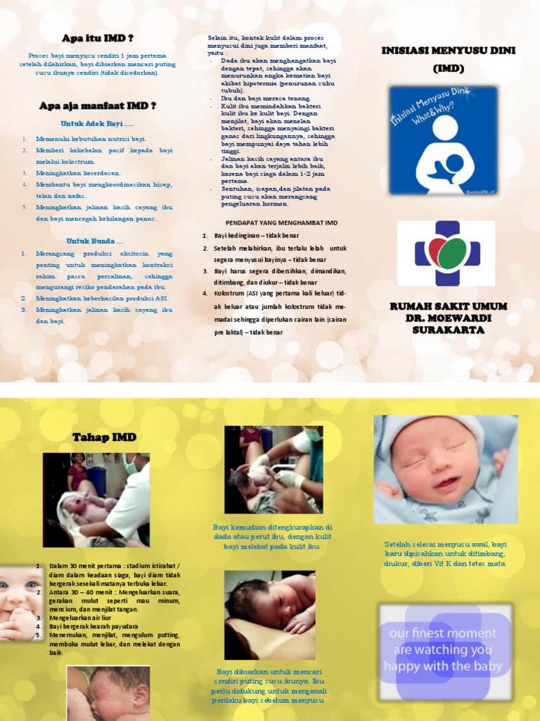 Leaflet IMD Oleh Reza Chandra | PDF
