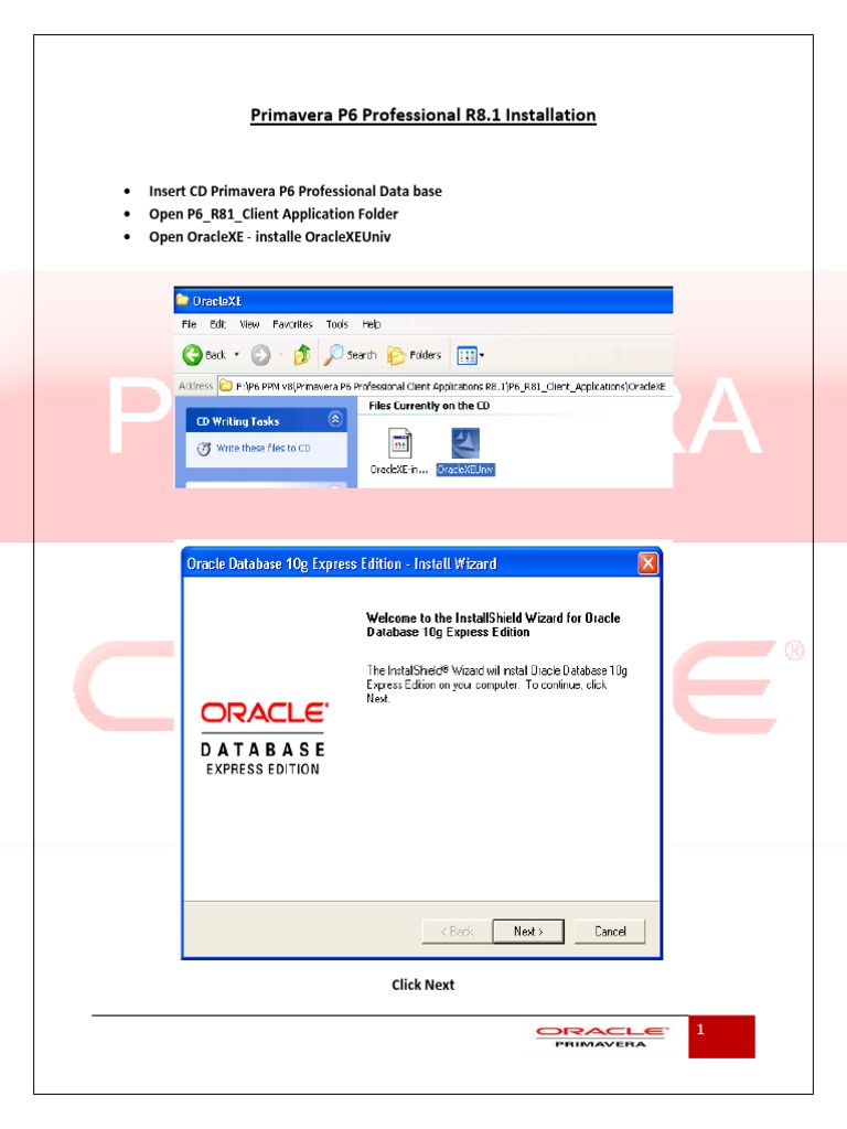 Primavera Proffesional P6 Installation Manual | PDF