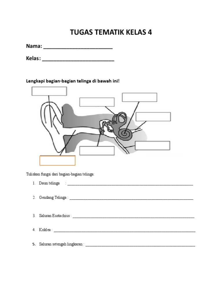 Tugas Telinga Kelas 4 | PDF