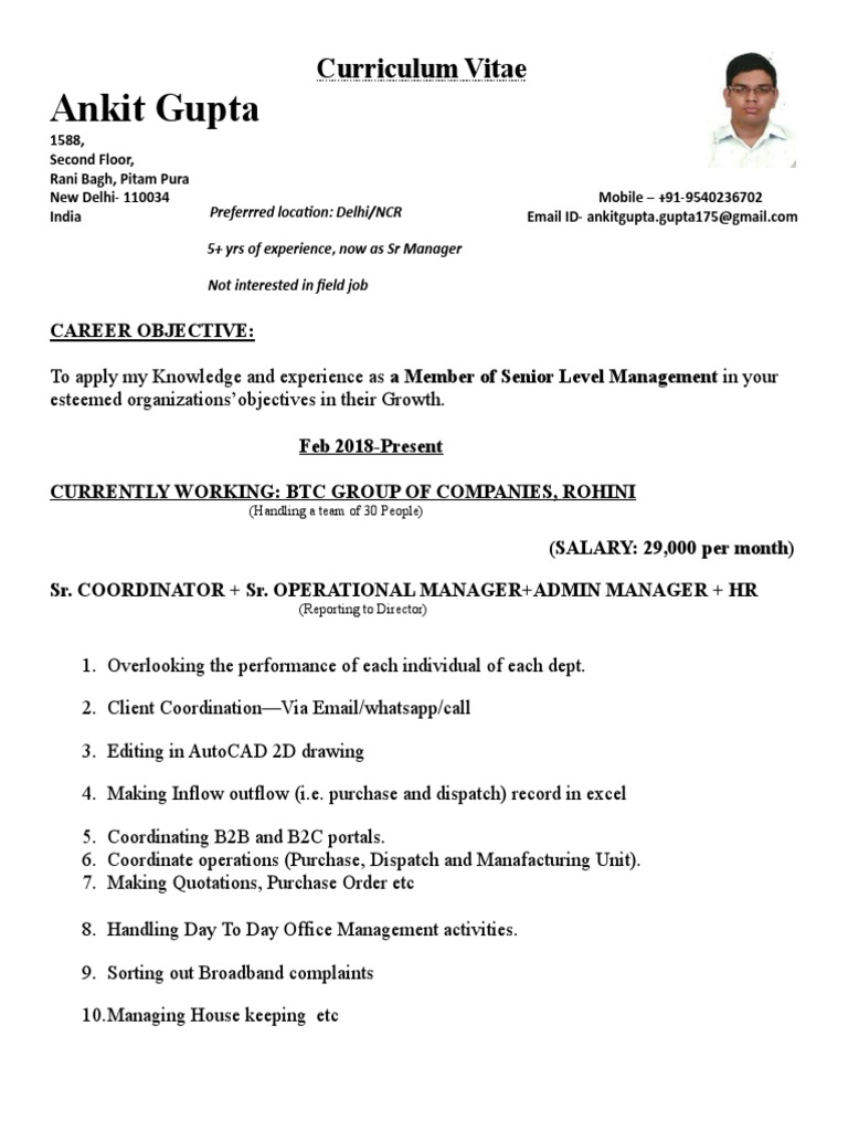 Ankit Gupta: Curriculum Vitae | PDF | Employment | Sales