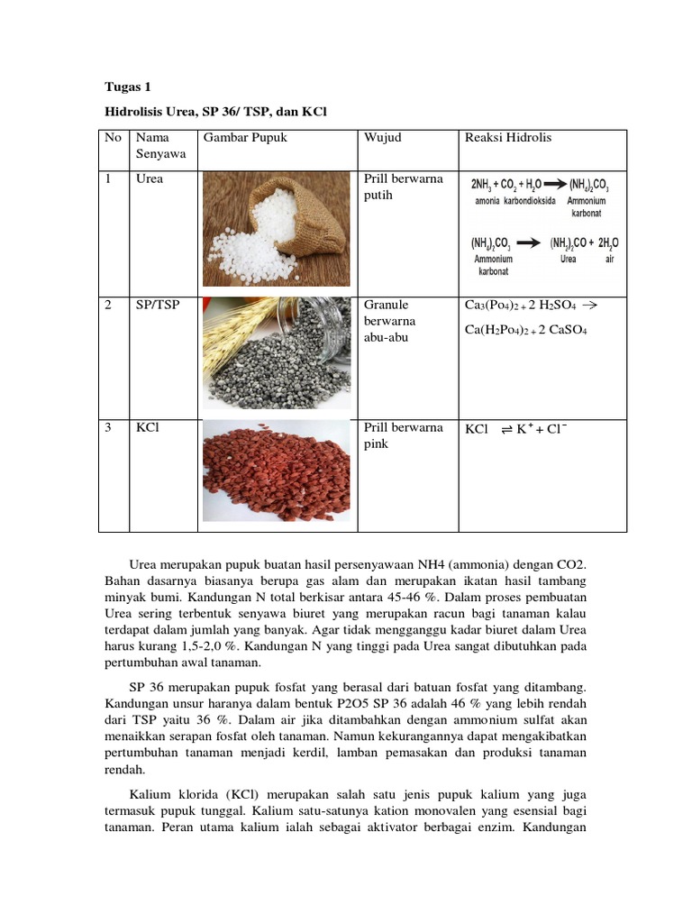 Hidrolisis Urea | PDF
