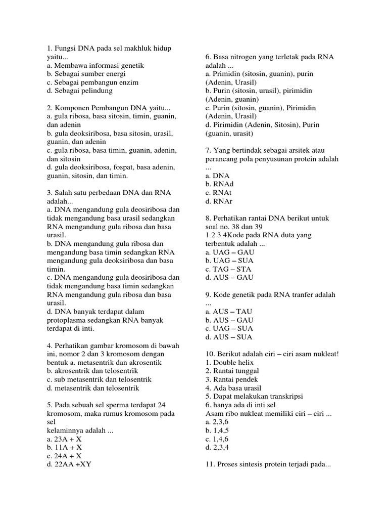 Soal Subtansi Genetika | PDF
