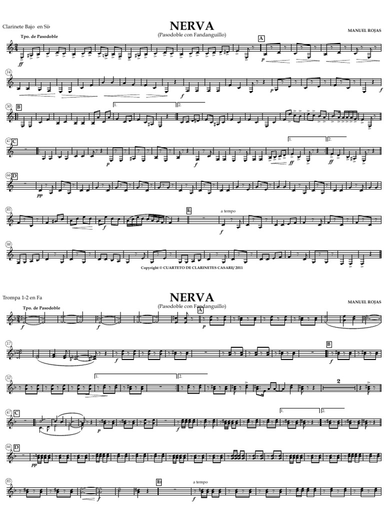 Nerva - Partes | PDF