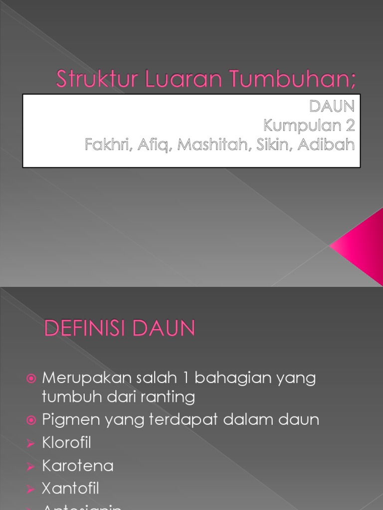 Struktur Luaran Tumbuhan | PDF