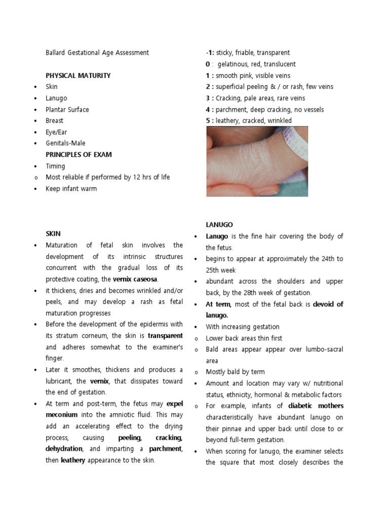 Ballard Scale for Newborn Age Assessment | PDF | Anatomical Terms Of ...