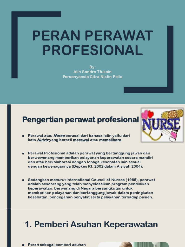 Peran Perawat Profesional Alin Ferci | PDF