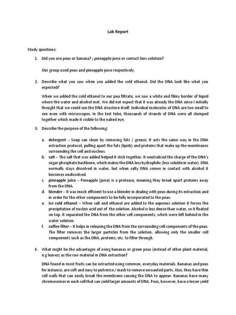Lab Report Green Peas - Dna Extraction | PDF | Ethanol | Dna