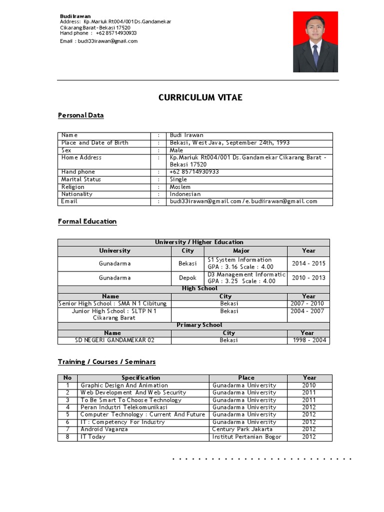 Curriculum Vitae: Personal Data | PDF | Microsoft Office | Microsoft Windows