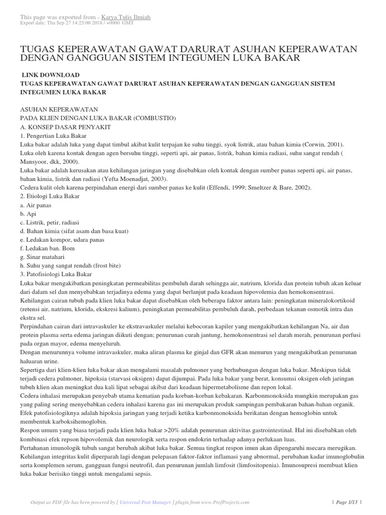 Tugas Keperawatan Gawat Darurat Asuhan Keperawatan Dengan Gangguan Sistem Integumen Luka Bakar ...