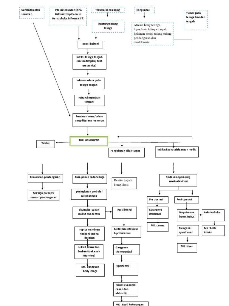 Penyebab Tuli Konduksi dan Infeksi Telinga | PDF