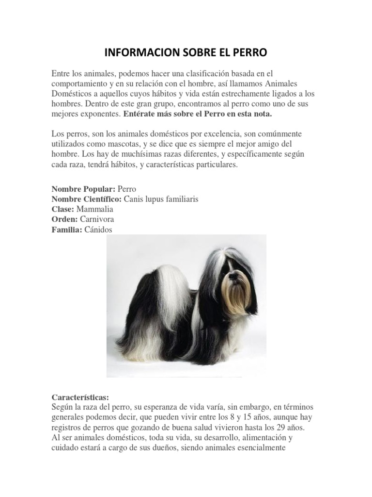Informacion Sobre El Perro | PDF | Razas | Perros