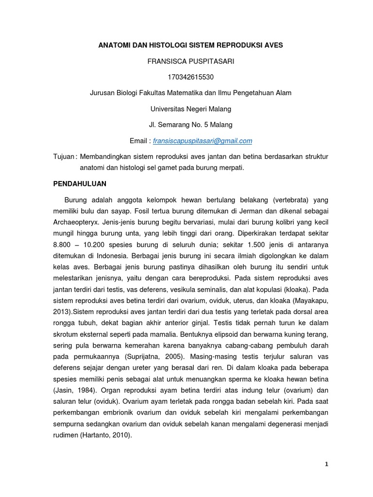 Anatomi Reproduksi Burung Merpati | PDF | Kesehatan Holistik | Sains ...