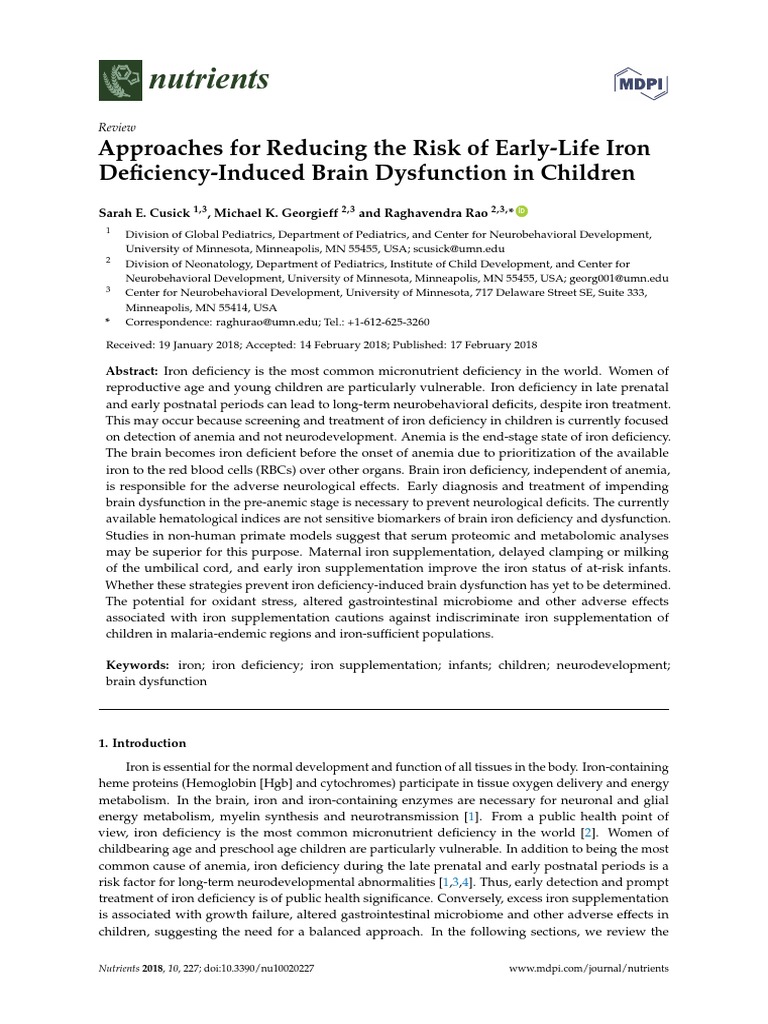 Approaches For Reducing The Risk of Early-Life Iron Deficiency-Induced ...