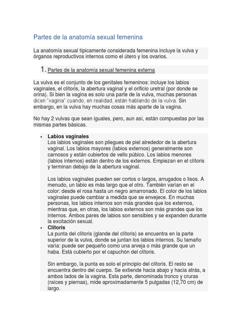 Partes de La Anatomía Sexual Femenina: Labios Vaginales | PDF | Vagina ...