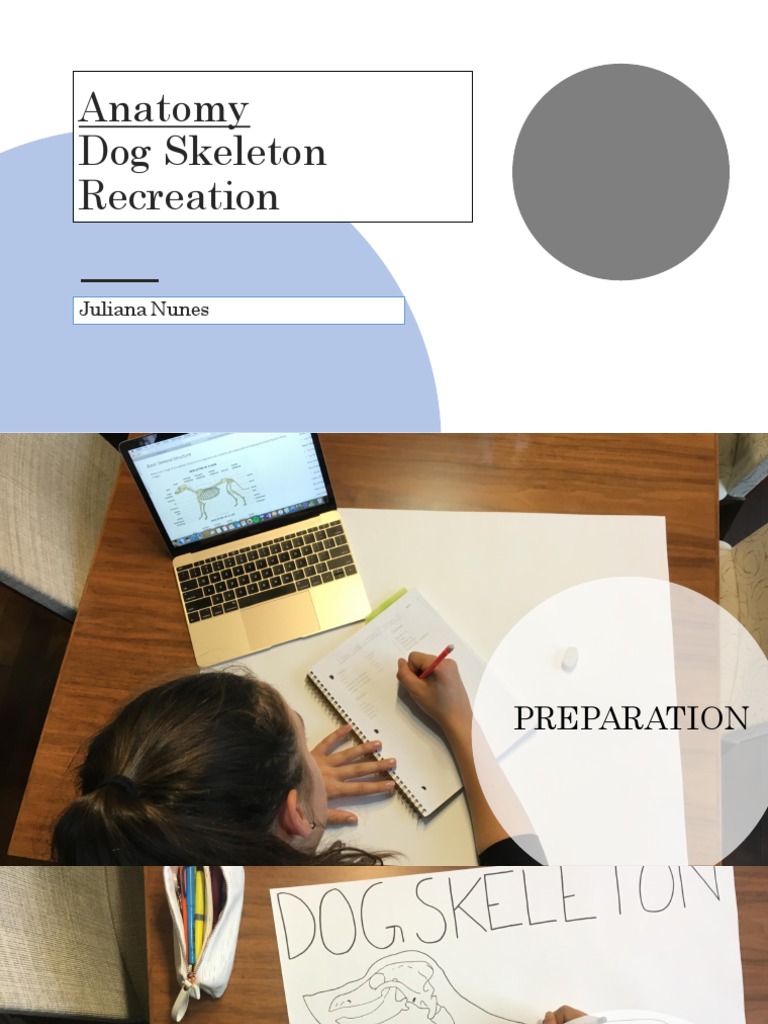 Dog Skeleton Project | PDF