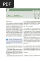 Clasificacion de Becker | PDF