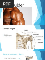 MMT Scapular Adduction and Downward Rotation by DR M Usama | PDF ...