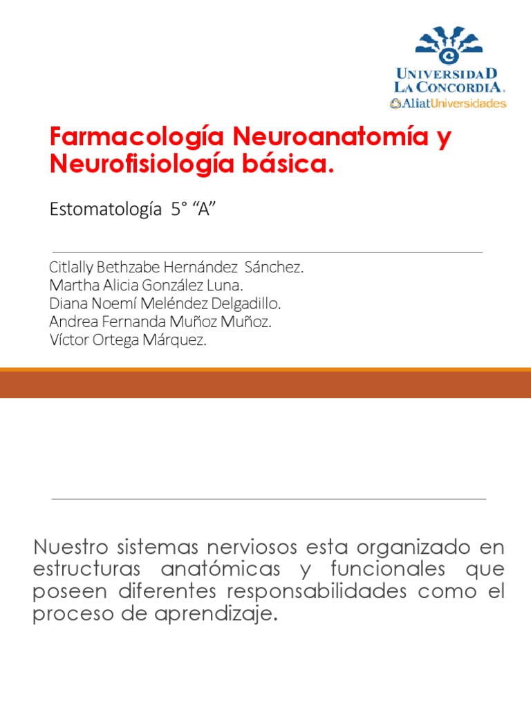 Neuroanatomia y Neurofisiologia Basica | PDF | Las emociones | Cerebro