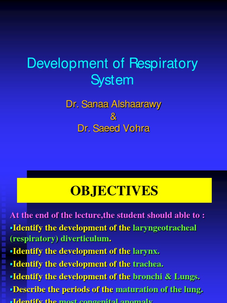 Lecture 1 - Development of Respiratory System | PDF | Lung ...