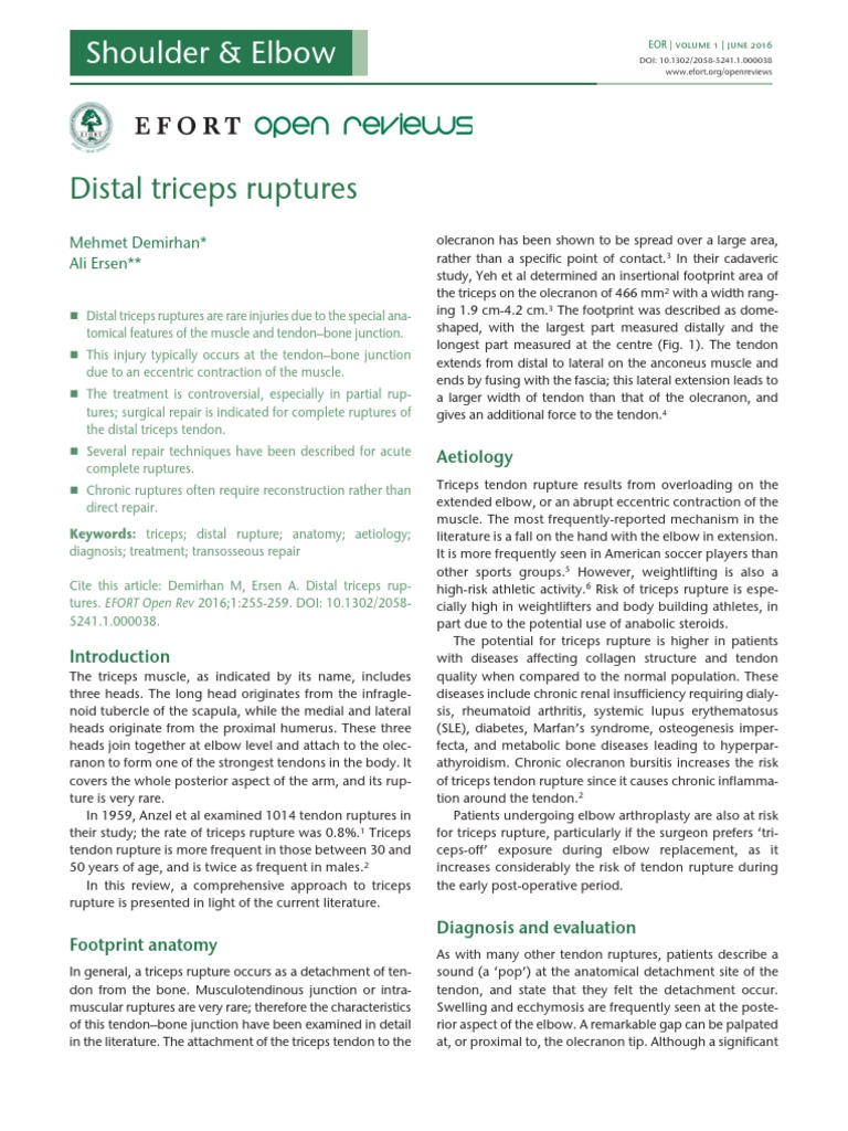 Distal Triceps Ruptures | PDF | Elbow | Tendon