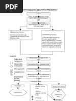 Physiology of Normal Spontaneous Delivery | PDF | Fetus | Human ...
