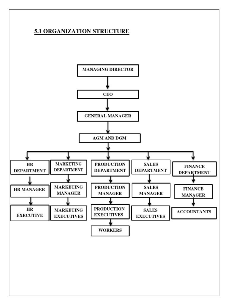 Organization Structure Overview | PDF