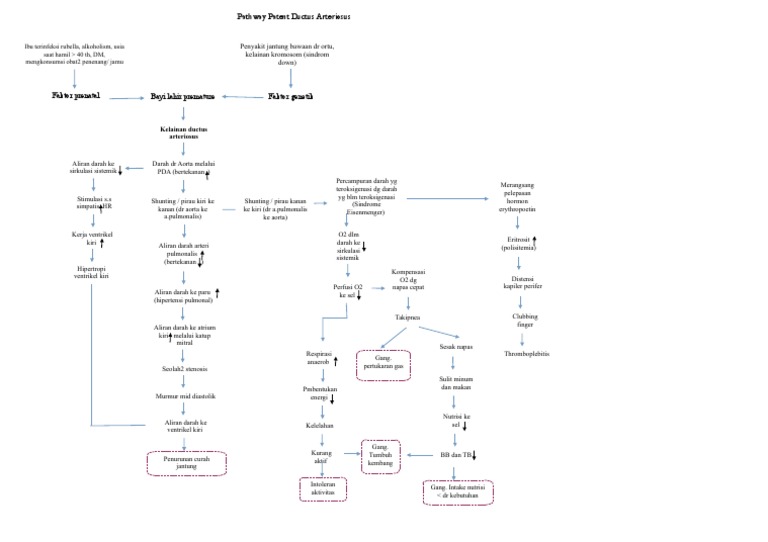 Faktor Prenatal Faktor Genetik Bayi Lahir Premature: Pathway Patent ...