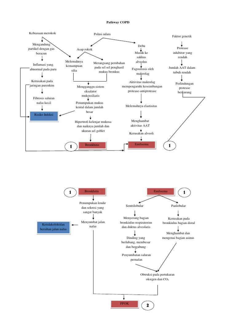 Pathway Copd Pdf