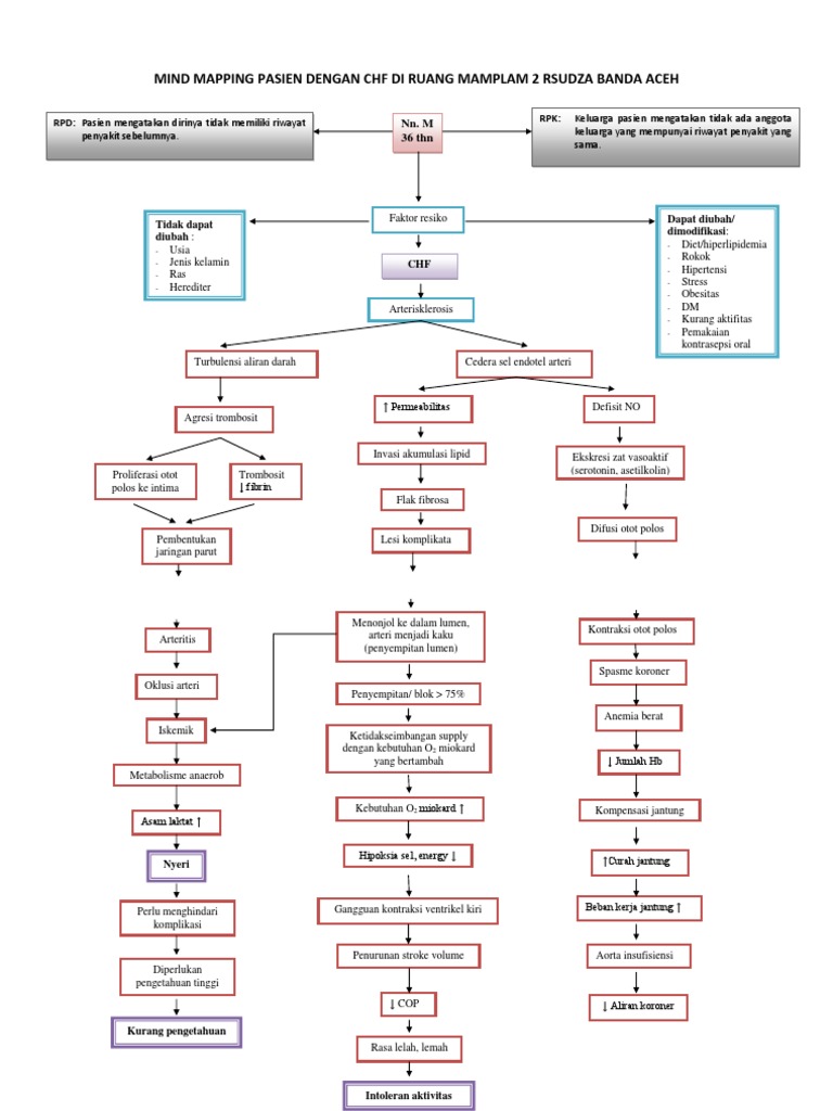 Mind Mapping CHF Print | PDF