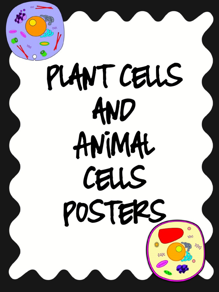 DB Coverage 353 | PDF