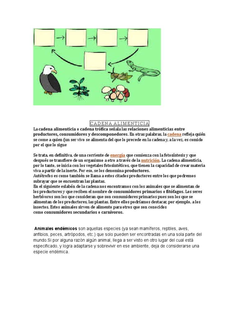 Cadena Alimenticia | PDF | Biología | Organismos