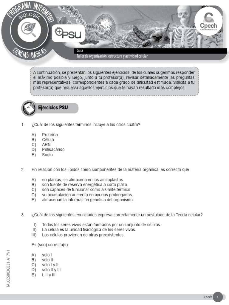 Taller de Organización, Estructura y Actividad Celular | PDF | Mitosis ...