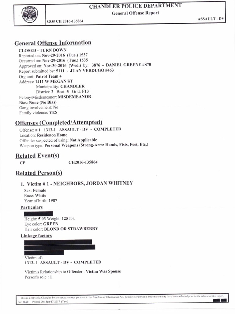 What A False Report of Domestic Violence Looks Like | PDF