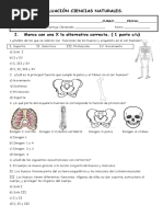 Prueba Sistema Esqueletico | PDF | Hueso | Articulación
