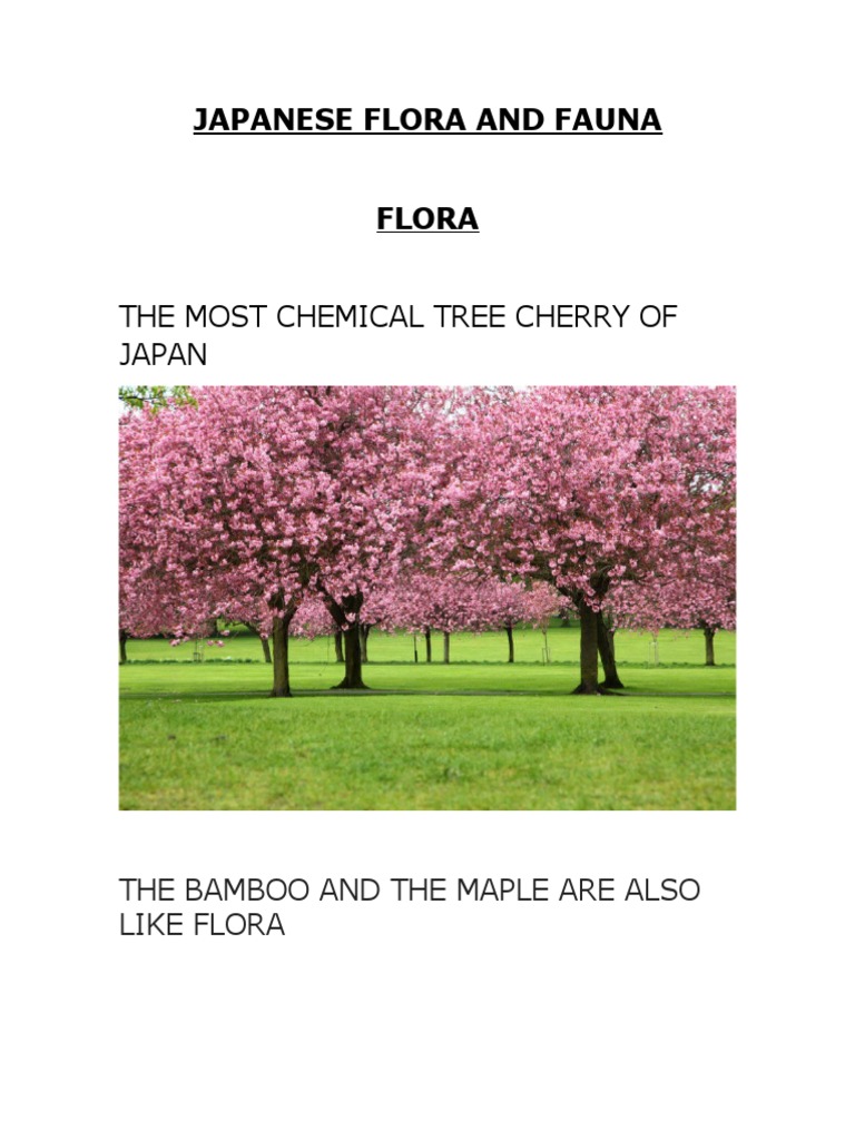 Japanese Flora and Fauna Flora: The Most Chemical Tree Cherry of Japan ...