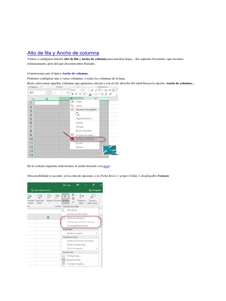 Practicas de Excel | PDF | Point and Click | Microsoft Excel