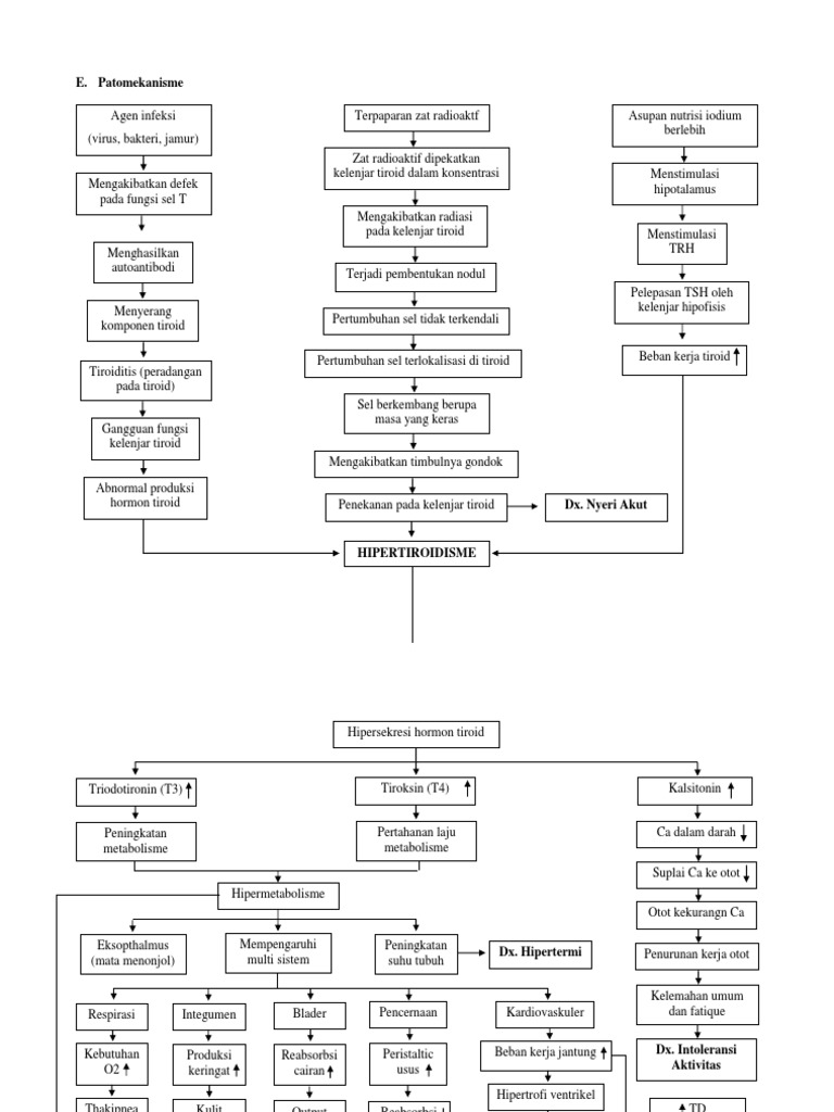 Patomekanisme Hipertiroid | PDF